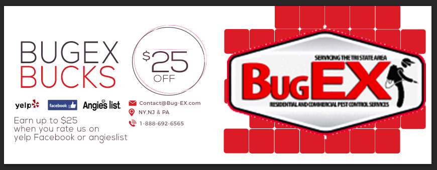 Bugex Bucks – Bug-EX